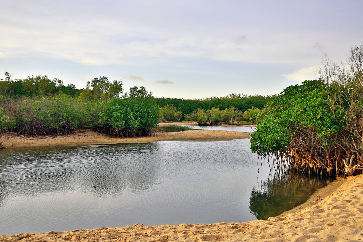 Galiwin’ku - Barra Ward - Miwatj Health Aboriginal Corporation